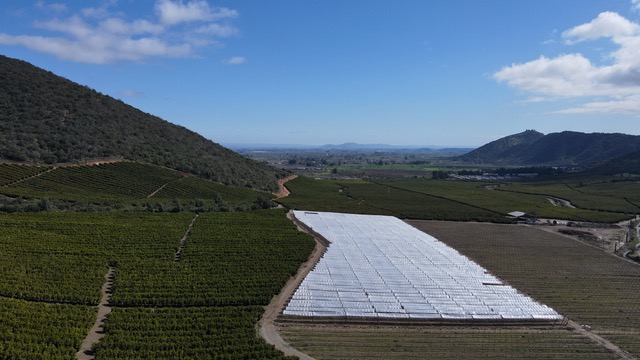 AgroCover - Smartcherry