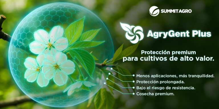 SUMMIT AGRO - Smartcherry