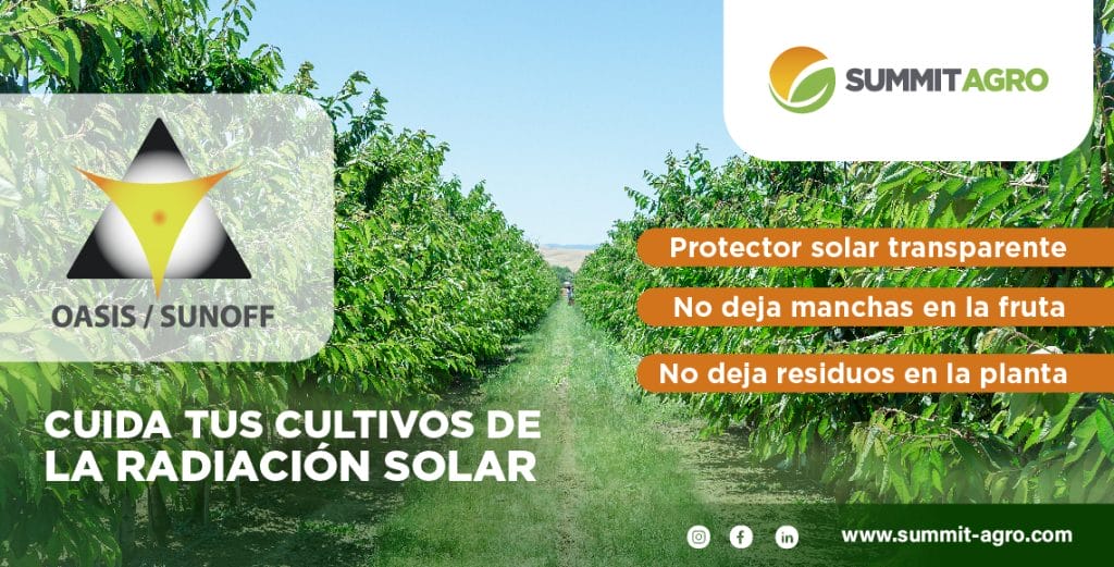 SUMMIT AGRO - Smartcherry