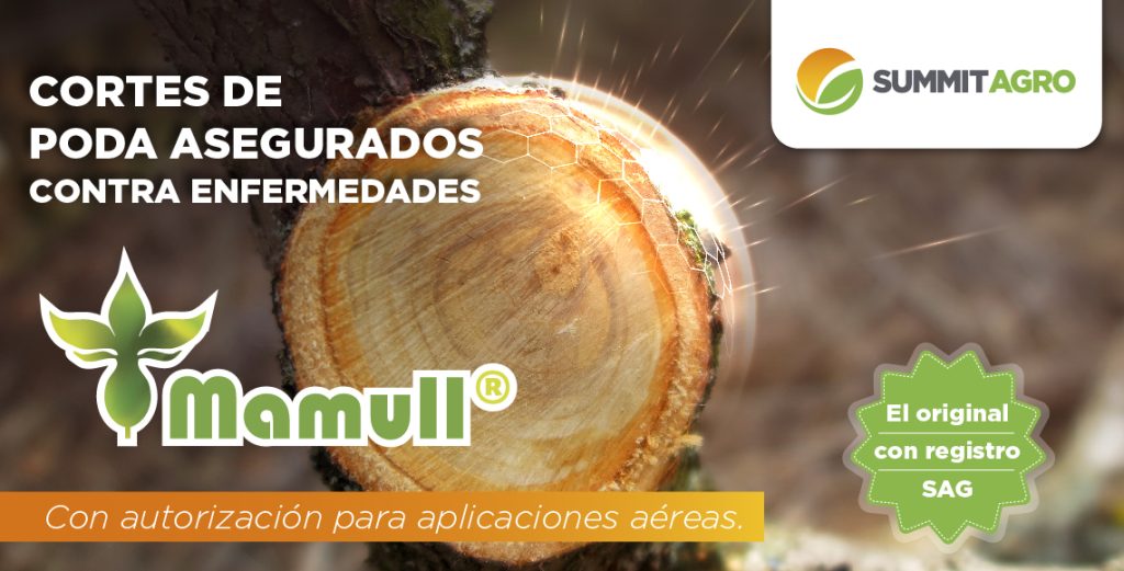 SUMMIT AGRO - Smartcherry