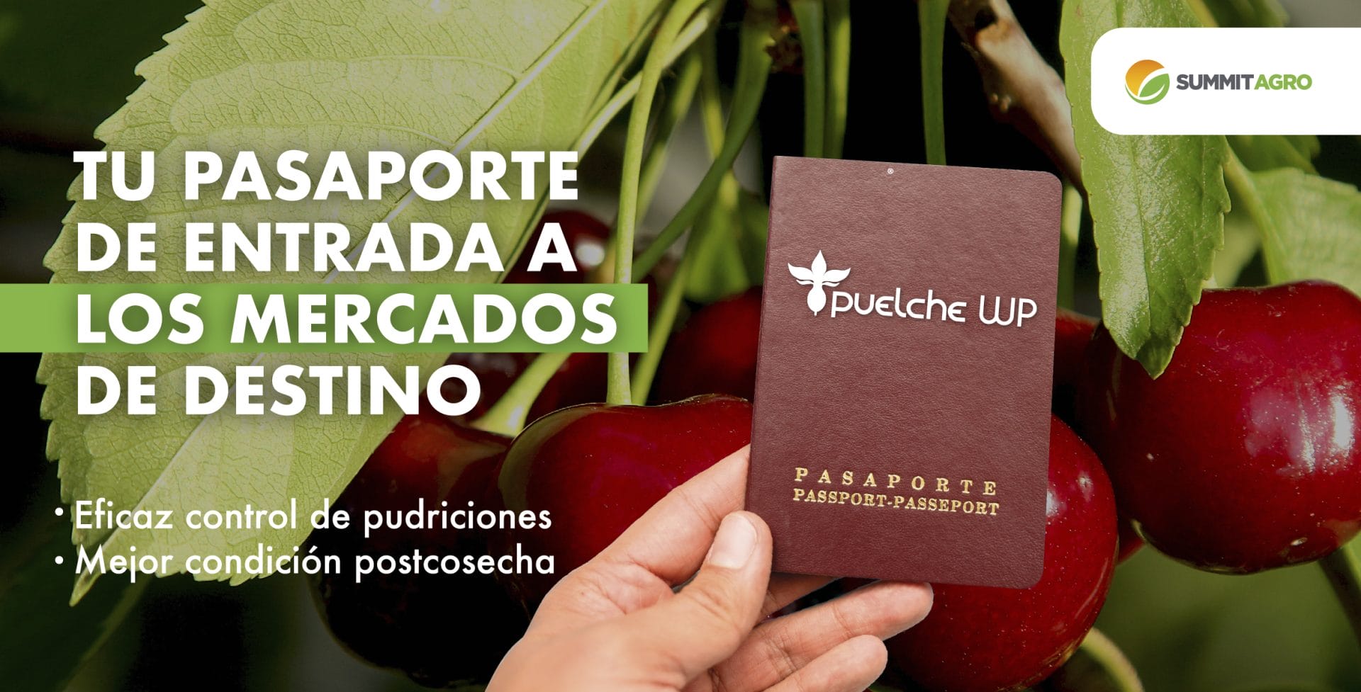 SUMMIT AGRO - Smartcherry