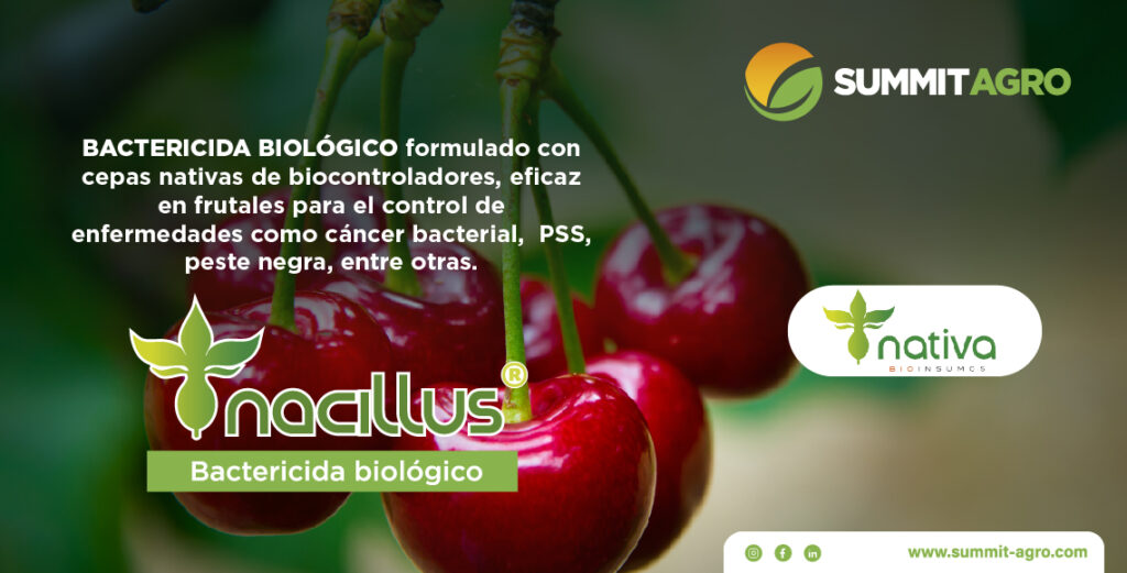 SUMMIT AGRO - Smartcherry