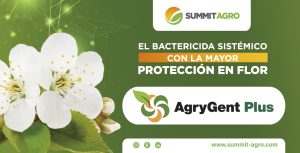 SUMMIT AGRO - Smartcherry