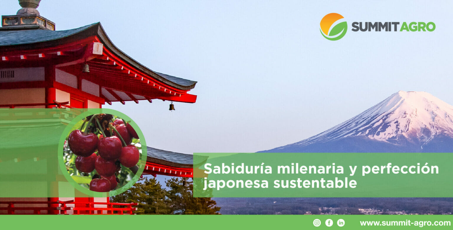 SUMMIT AGRO - Smartcherry