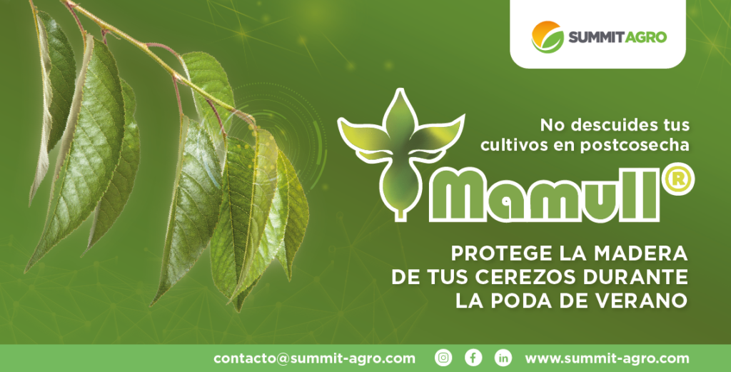 SUMMIT AGRO - Smartcherry