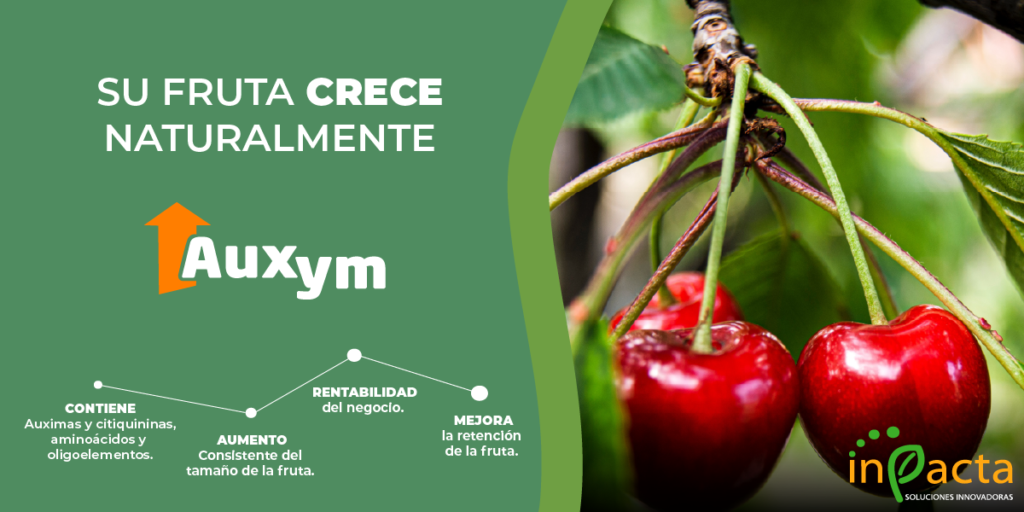 IN-PACTA - Smartcherry