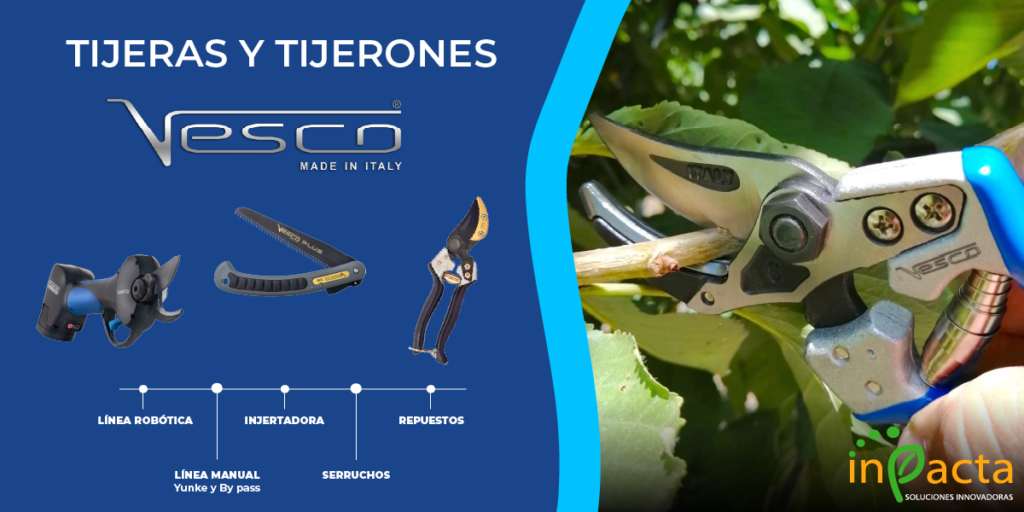 IN-PACTA - Smartcherry