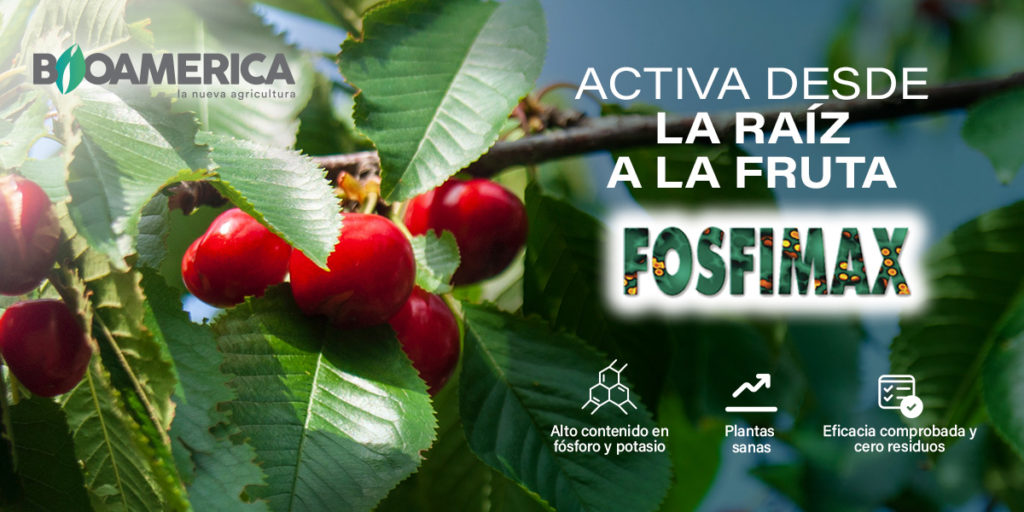 BIOAMERICA - Smartcherry