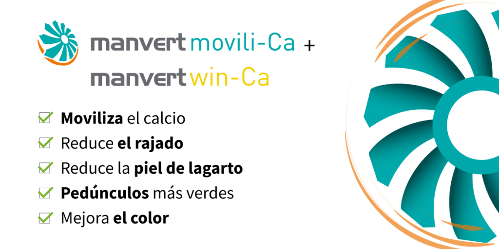 Manvert - Smartcherry