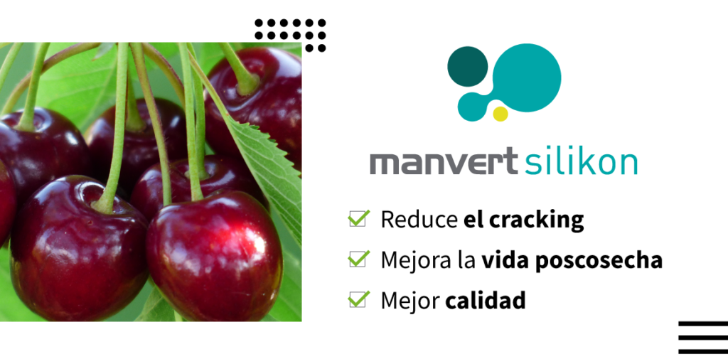 Manvert - Smartcherry