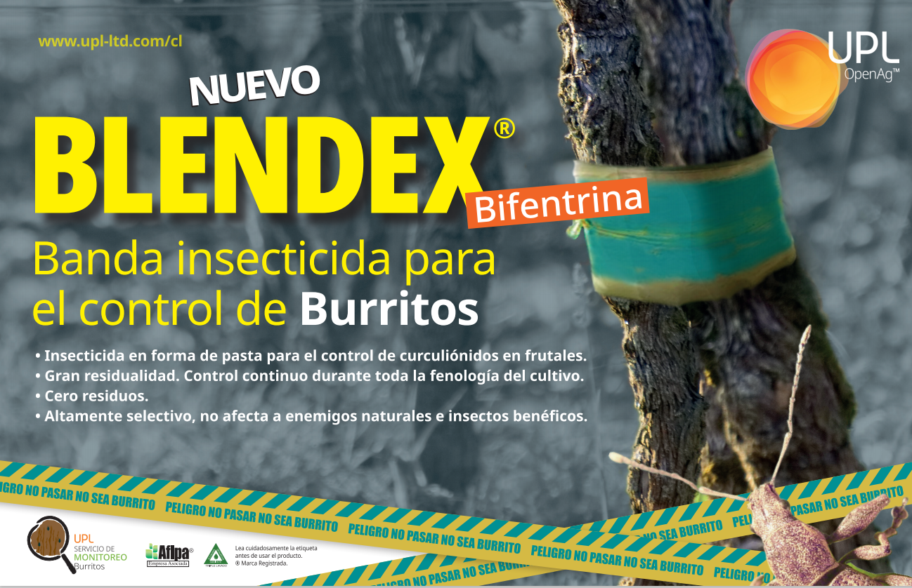 Blendex®: solución sustentable, duradera y sin residuos para el control de curculiónidos ...