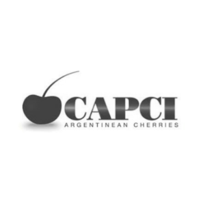 Columnista Archives - Smartcherry