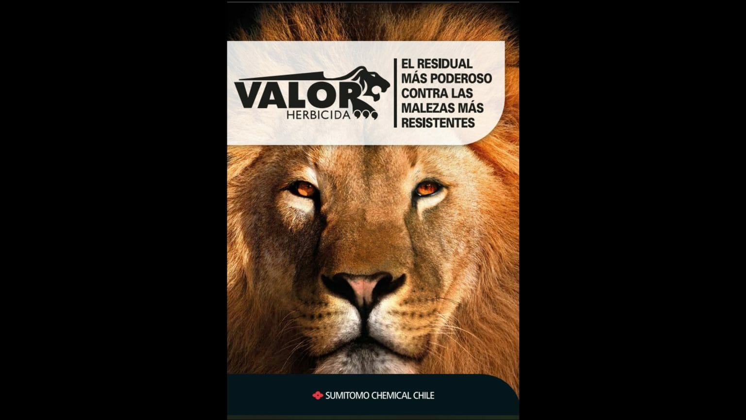 Sumitomo: Valor, el más poderoso herbicida de acción pre y post ...