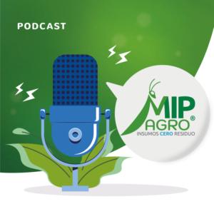 Podcasts archivo - Smartcherry