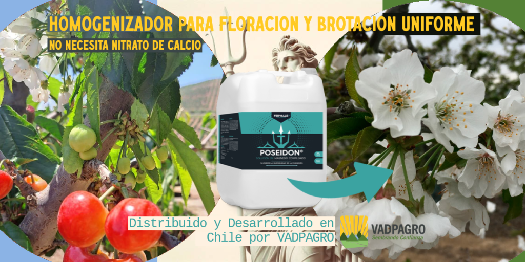 VADPAGRO - Smartcherry