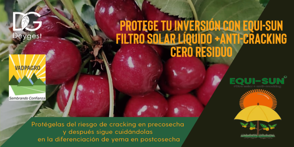 VADPAGRO - Smartcherry