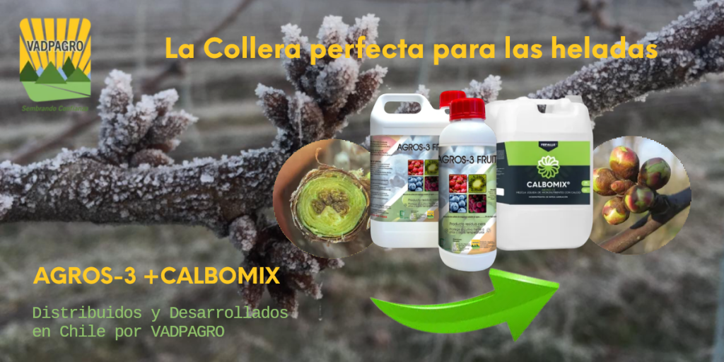 VADPAGRO - Smartcherry