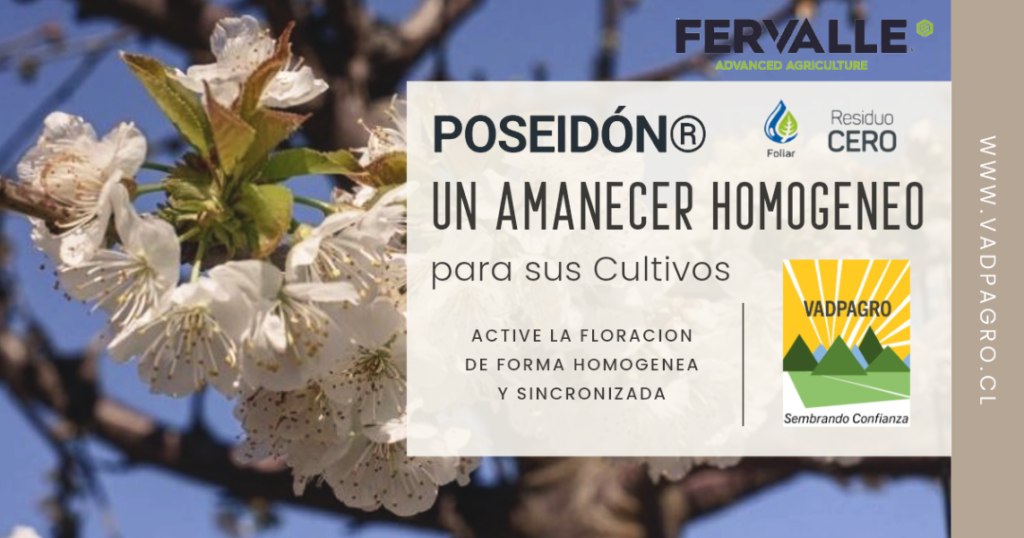 VADPAGRO - Smartcherry