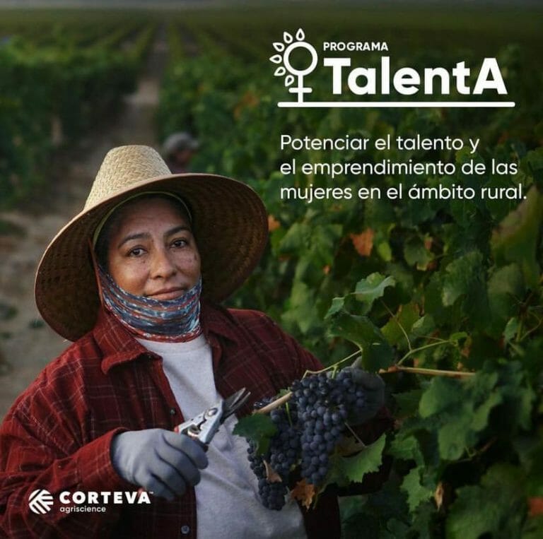 Vuelve programa “Talenta” de Corteva - Smartcherry