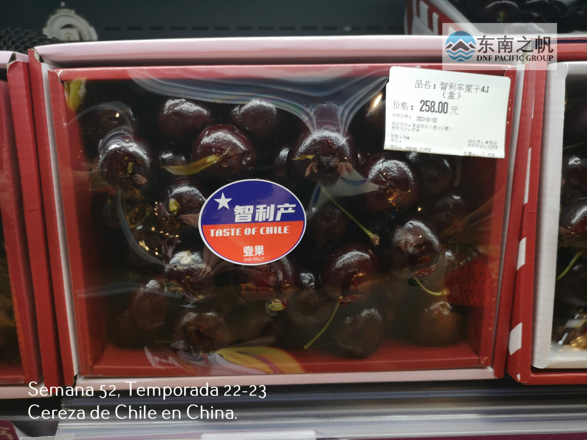 El Año Nuevo Chino se acerca y la cereza chilena toma importancia en el retail - Smartcherry