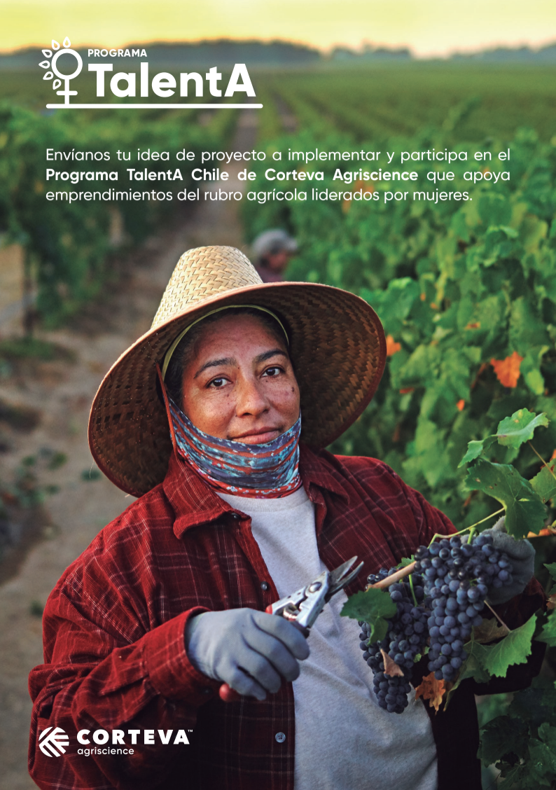 Postulaciones al concurso del programa Talenta de Corteva abiertas hasta el 30 de enero ...