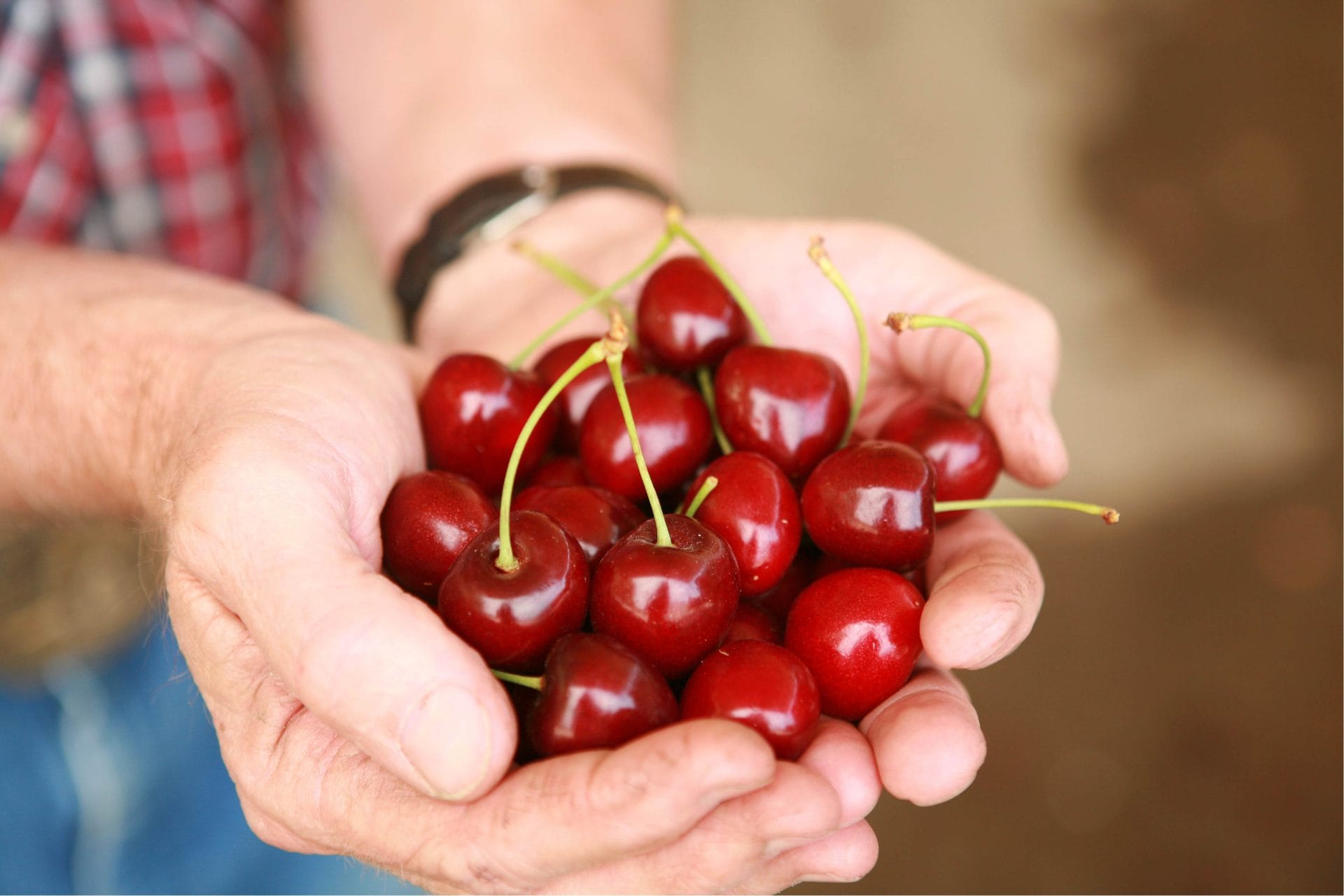 SOQUIMICH COMERCIAL - Smartcherry