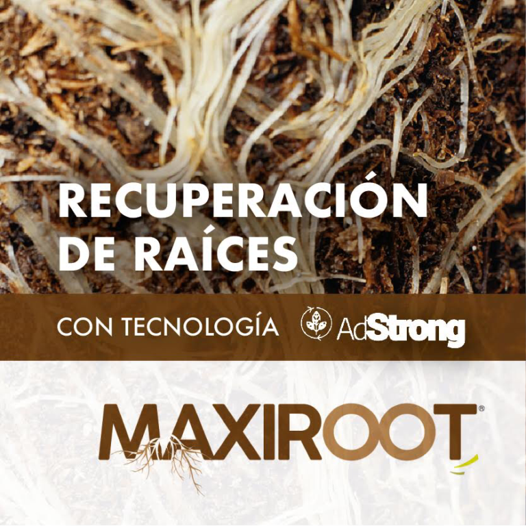 CYTOPLANT 400 - Smartcherry