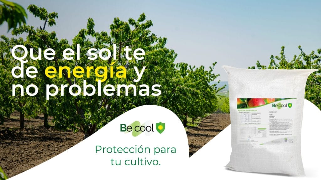 ANAGRA - Smartcherry