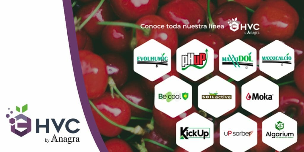 ANAGRA - Smartcherry