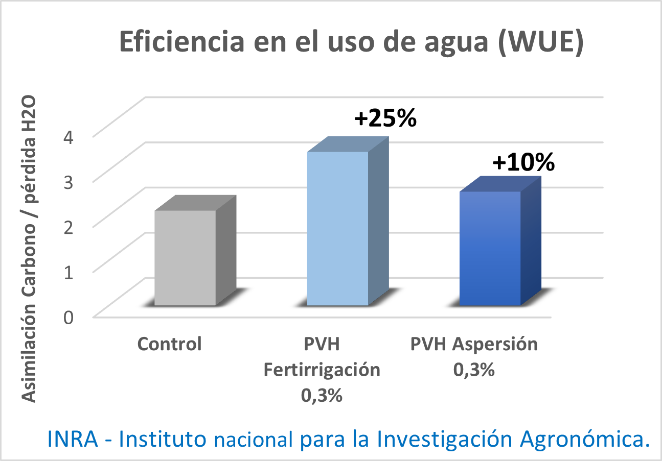 La revolución de los péptidos vegetales en la agricultura moderna - Smartcherry