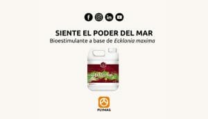 ECKLOMAR, un bioestimulante en base a ecklonia máxima y su método de ...