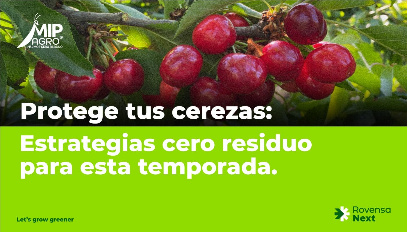 MIP-Agro presenta sus innovadores productos para la protección y requerimientos nutricionales de ...