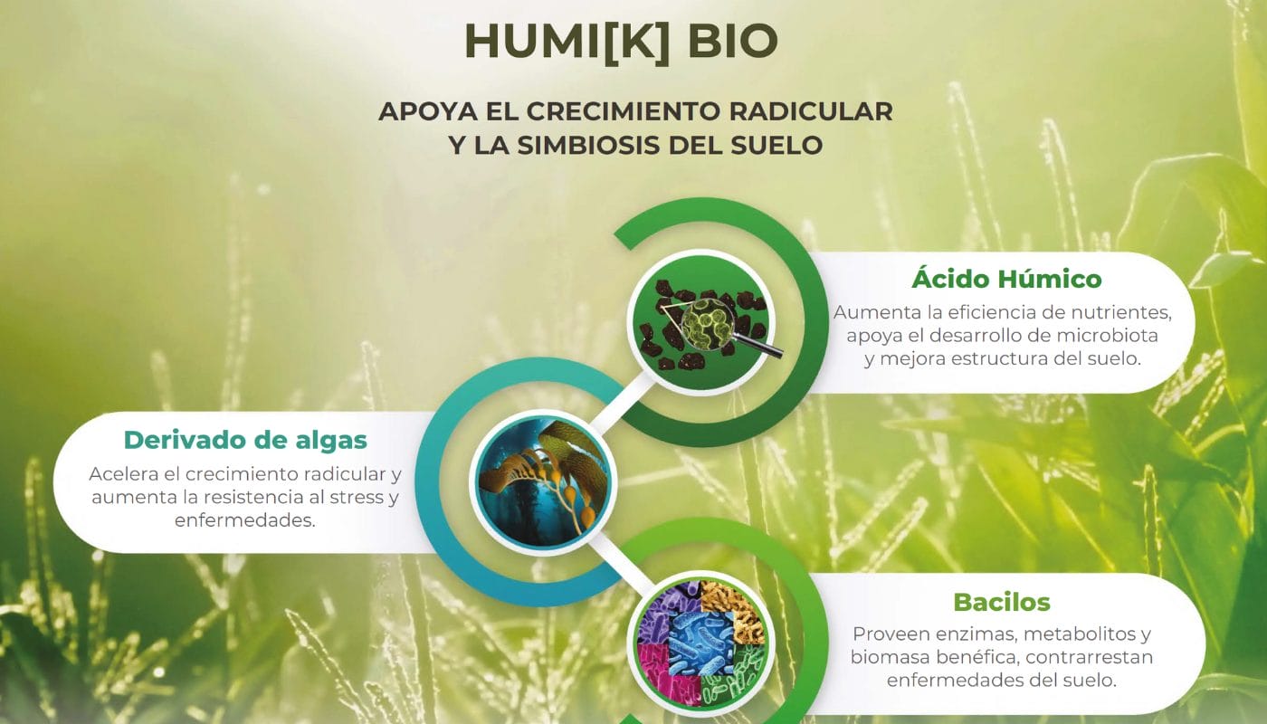 HUMI K BIO: Un gran aporte a la biología del suelo por ATSA Chile SA ...