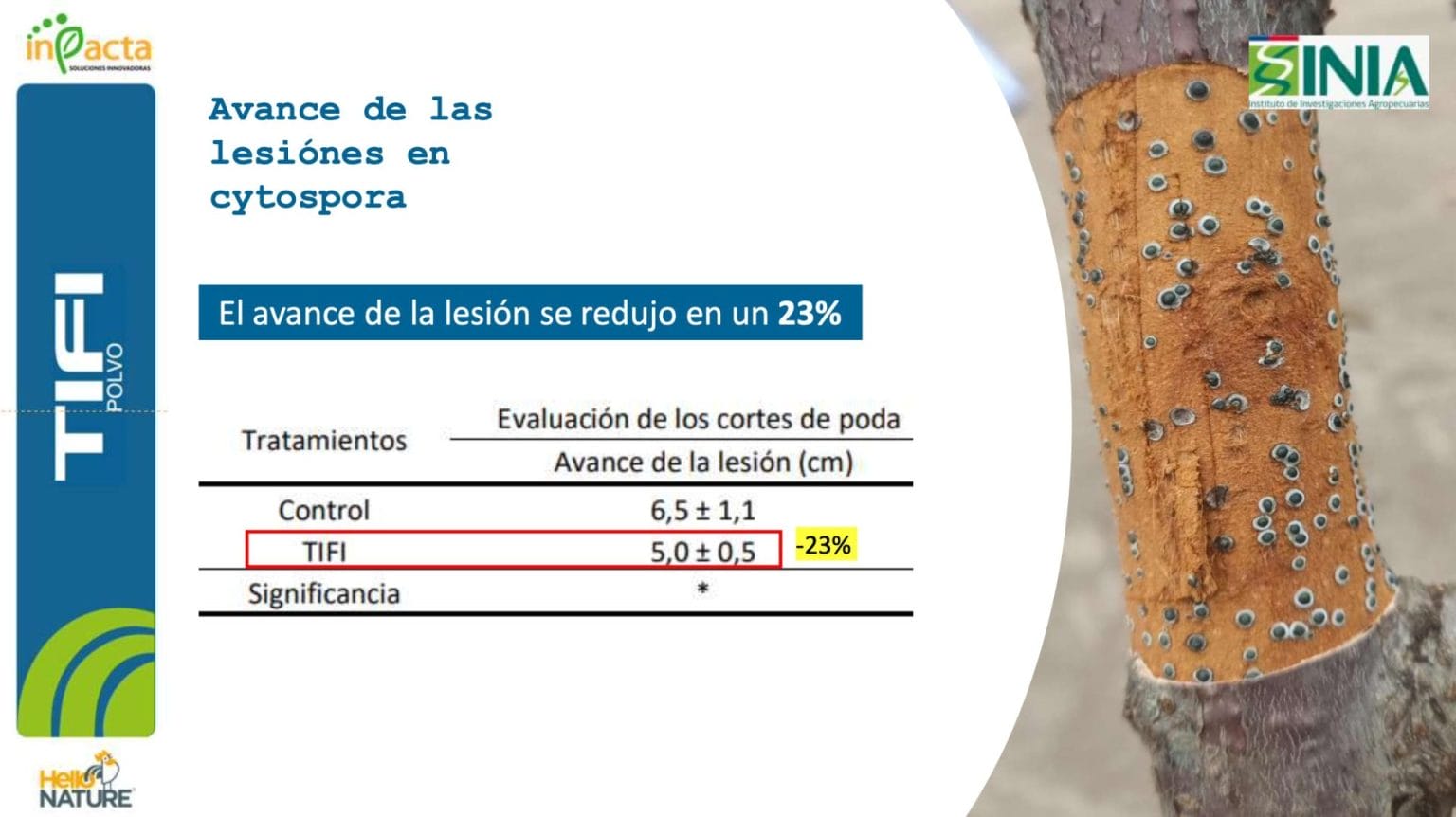 Para postcosecha usa TIFI para heridas y enfermedades de la madera - Smartcherry