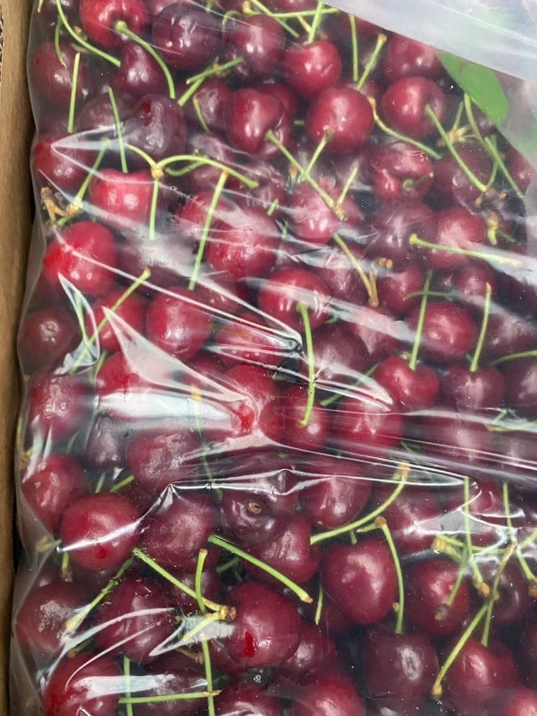 Llegó el primer contenedor de cerezas vía marítima a China - Smartcherry