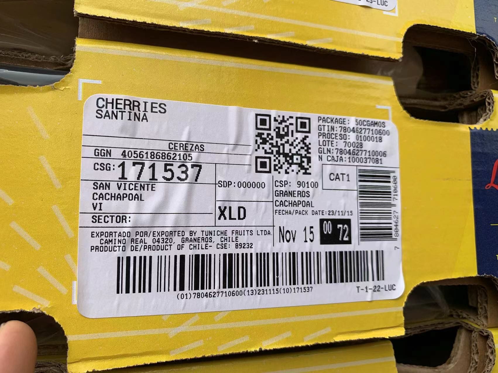 Así fue la llegada del primer embarque marítimo de cerezas a Hong Kong ...