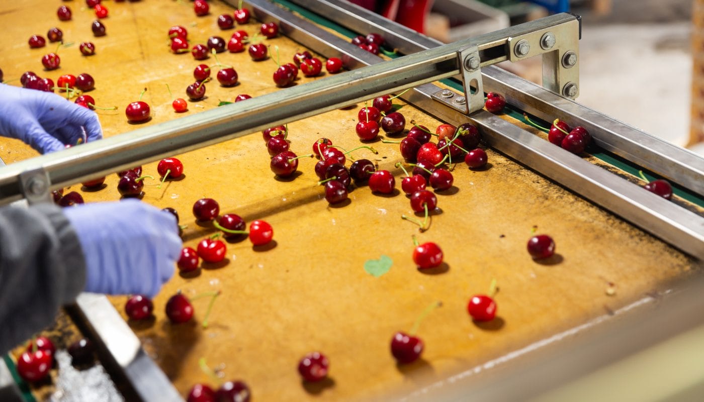 Ranking de exportación de cerezas, Tp. 2023-2024, Semana 51 - Smartcherry