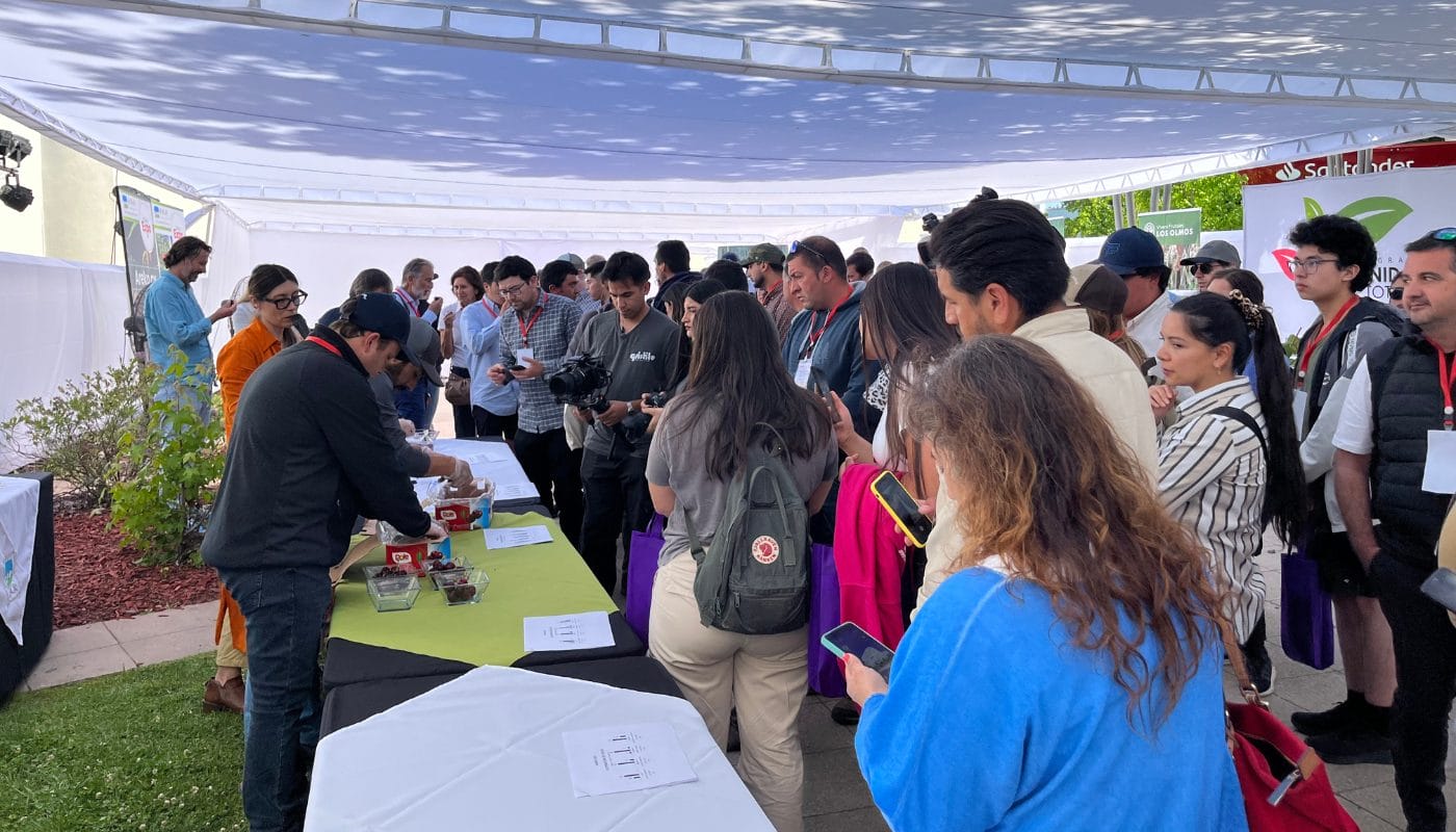 Séptima edición de Cherry Expo de ANA Chile: Innovación y variedades ...