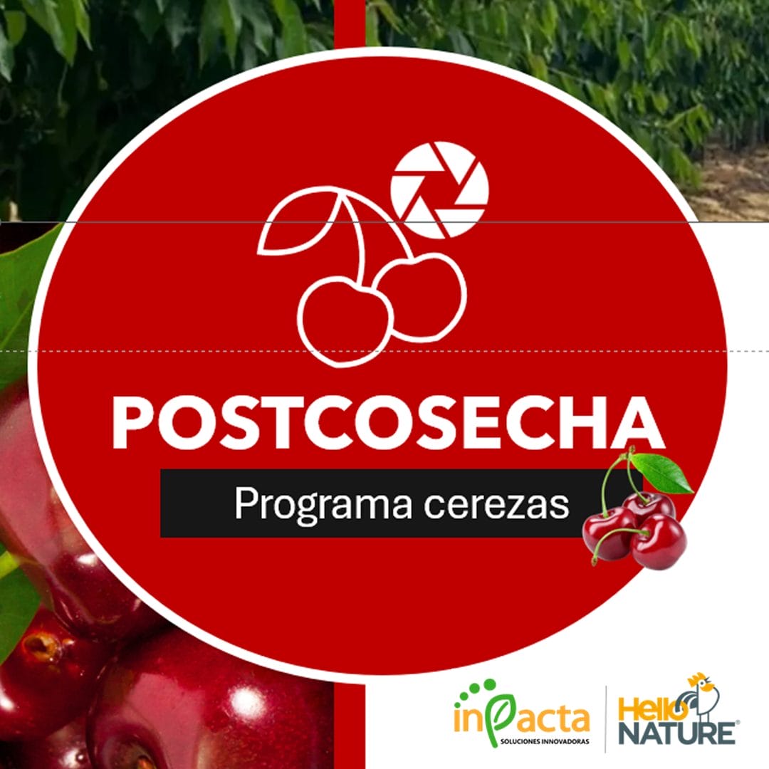 In-Pacta presenta línea de Postcosecha para este 2024 - Smartcherry