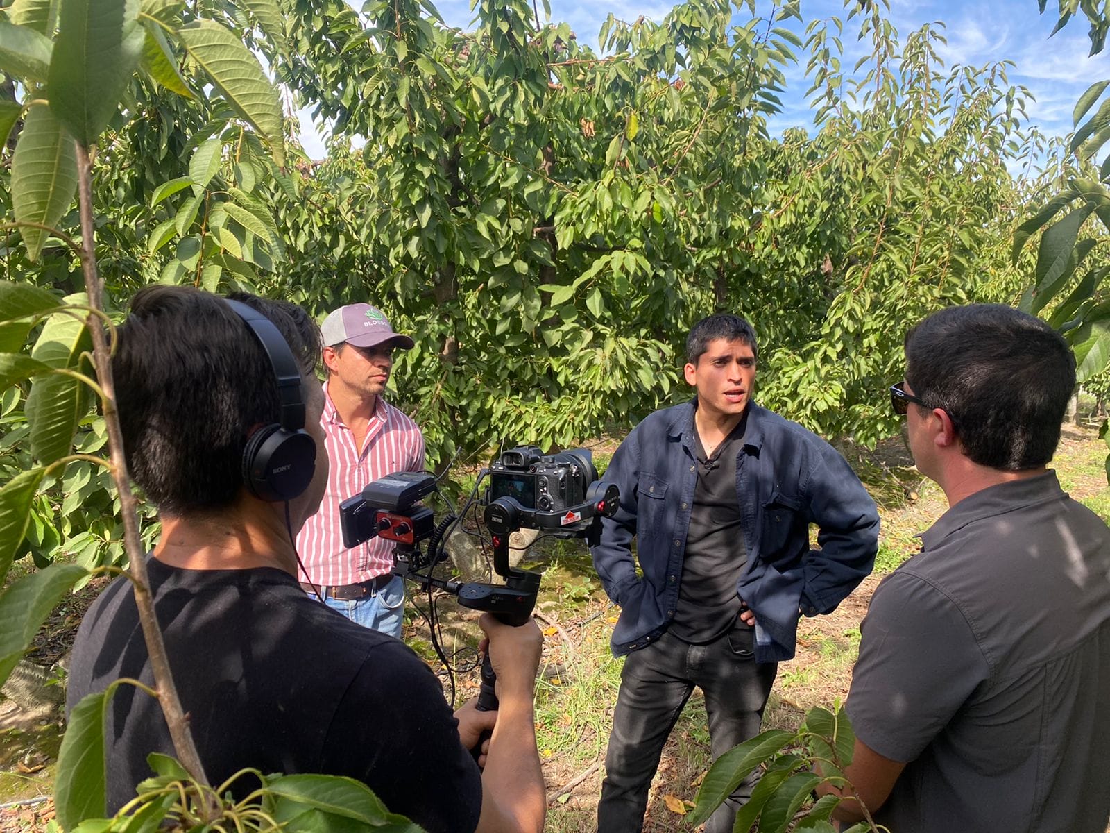 ¿Qué cuentas sacamos?: El nuevo capítulo de Reportajes en Smartcherry - Smartcherry