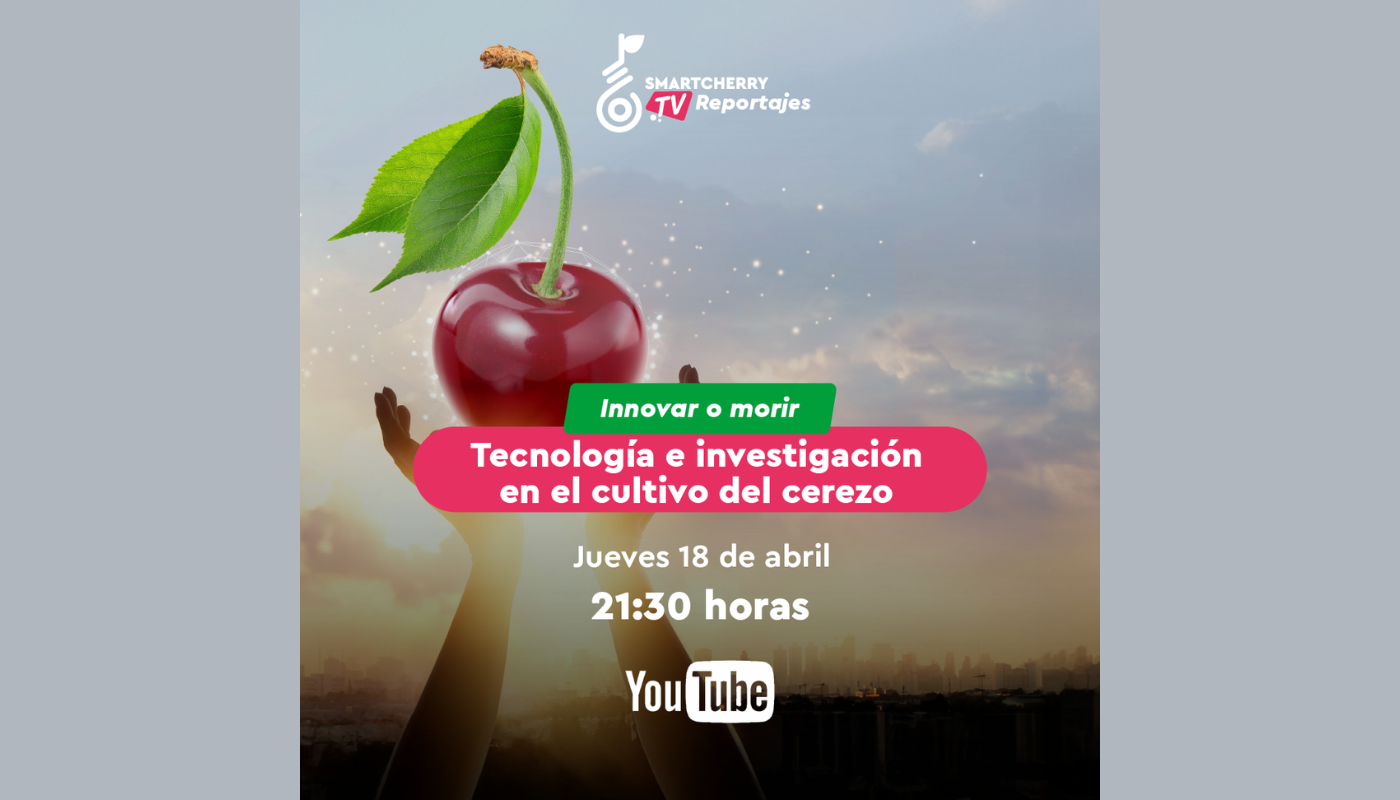 ¡Revisa el adelanto del reportaje "Innovar o morir"! - Smartcherry