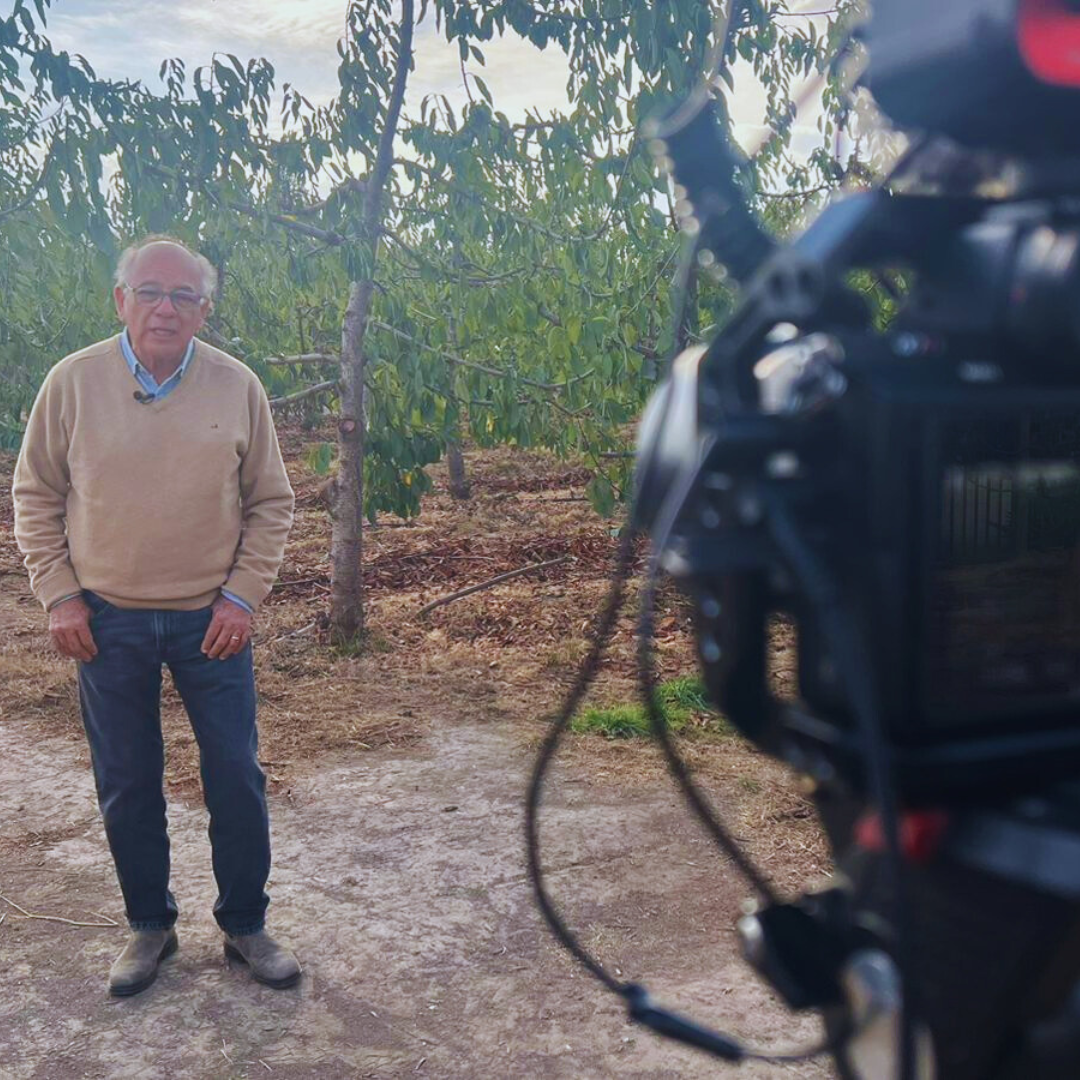 Entrada en dormancia: El nuevo reportaje de Smartcherry TV - Smartcherry