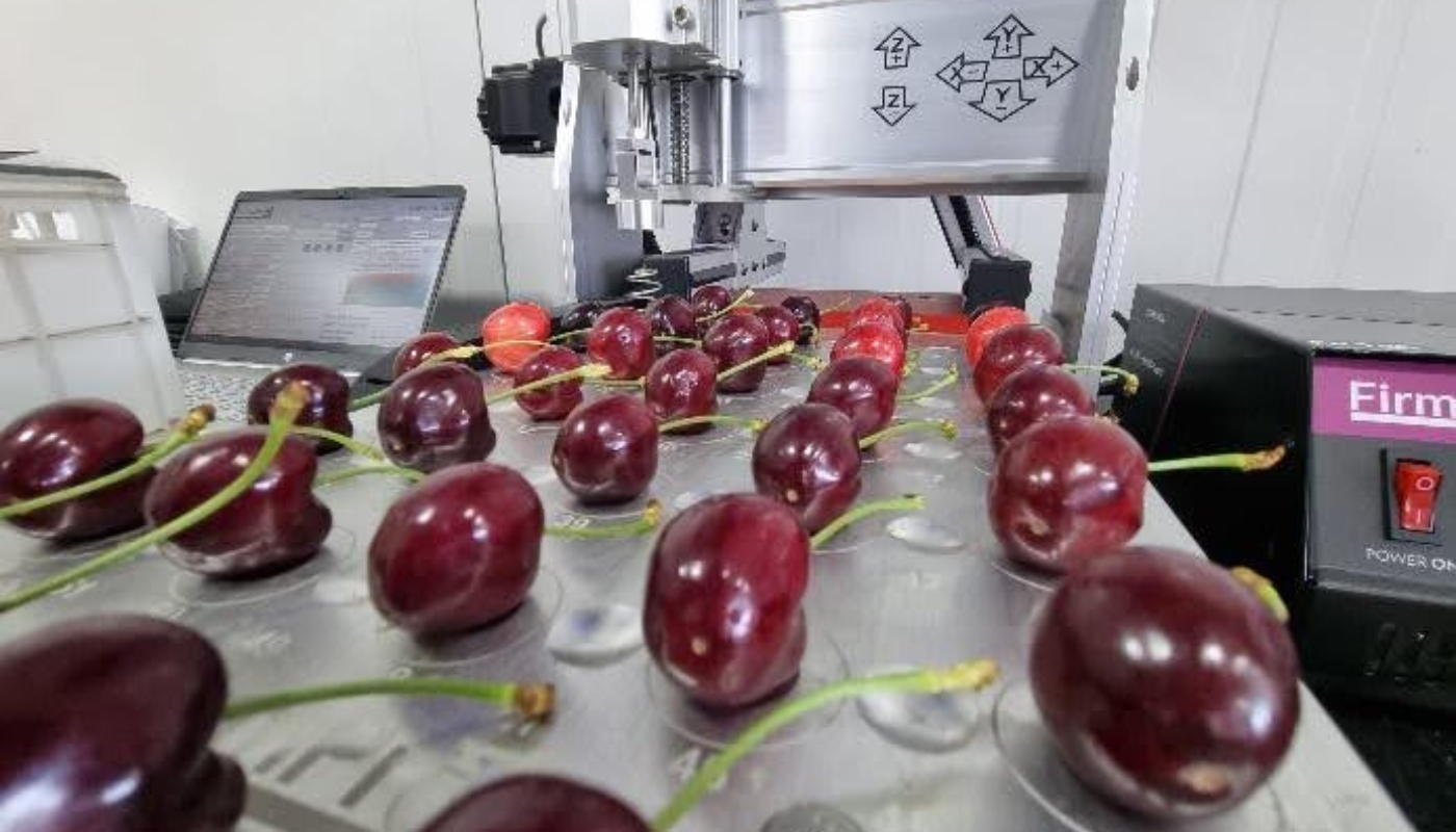 Tecnología para medir frutas pequeñas: ¿Cómo son los informes que entrega el FirmPro de ...