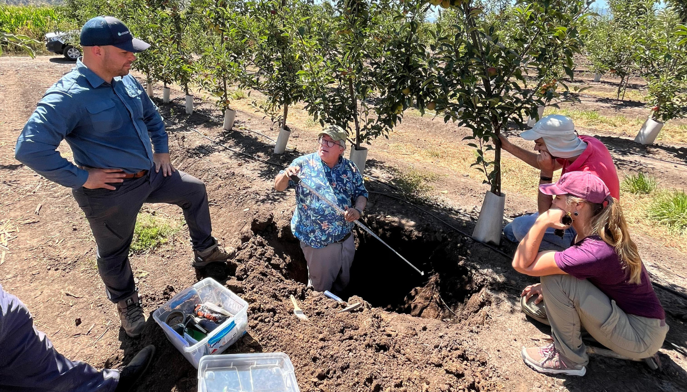 Noticias Archives - Smartcherry