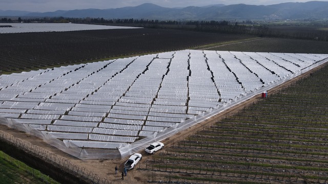 AgroCover - Smartcherry