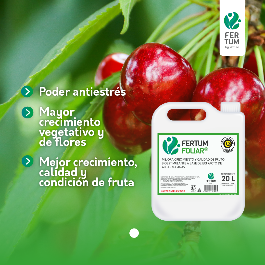 ¡La fuerza que tus frutos necesitan encuéntrala con FERTUM® FOLIAR ...