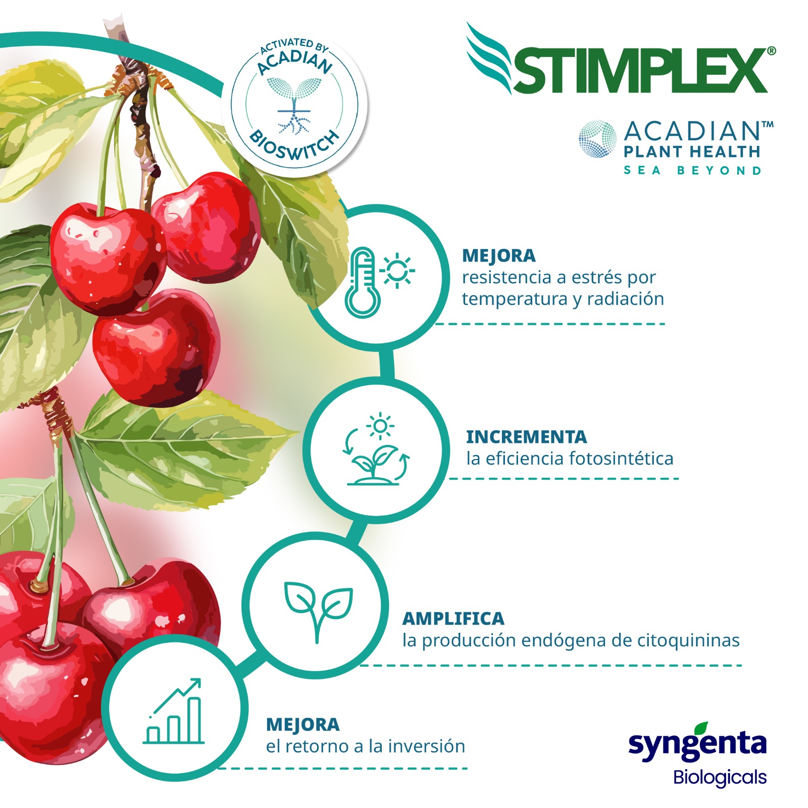 Potencia tu cultivo y combate el estrés abiótico con Stimplex - Smartcherry