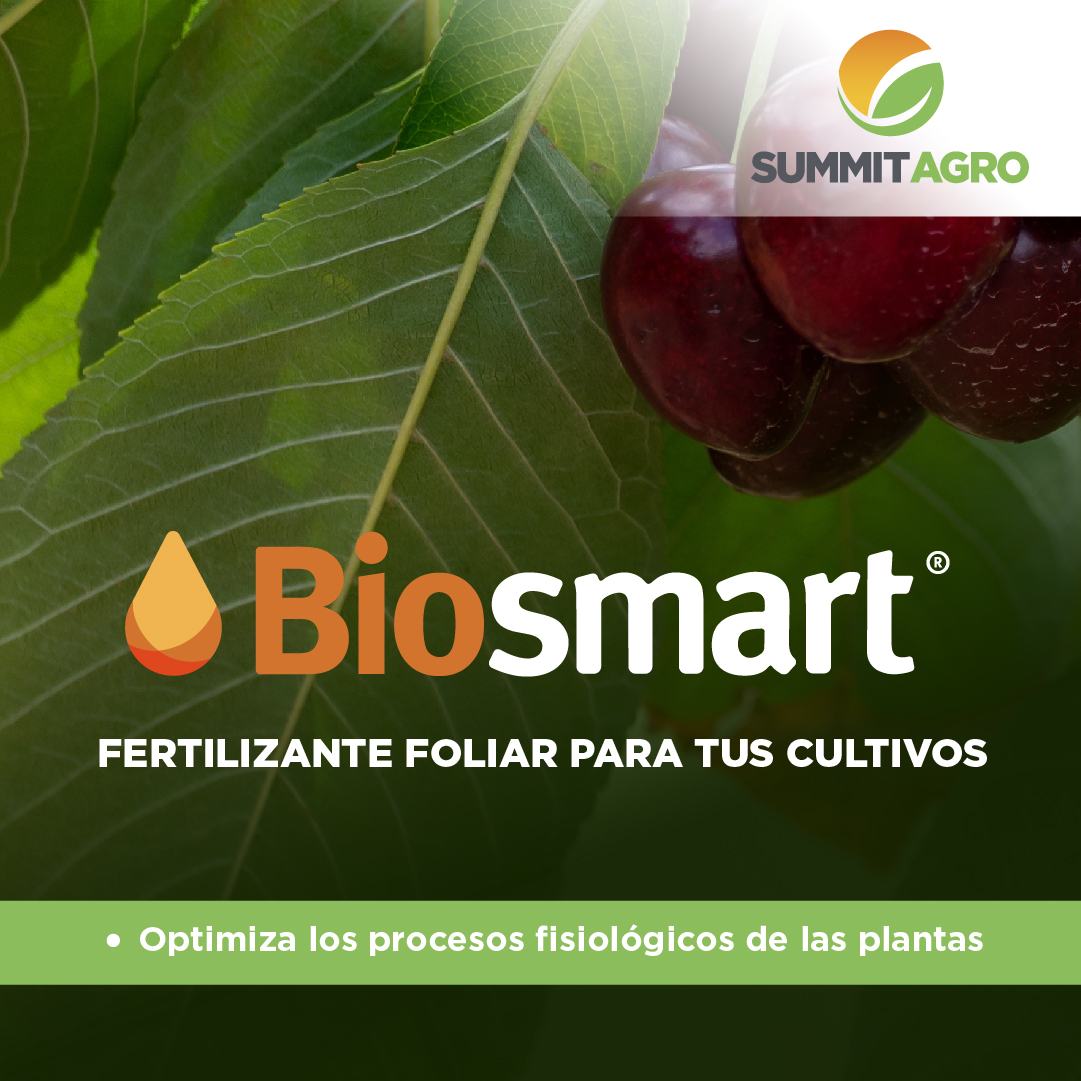 SUMMIT AGRO - Smartcherry