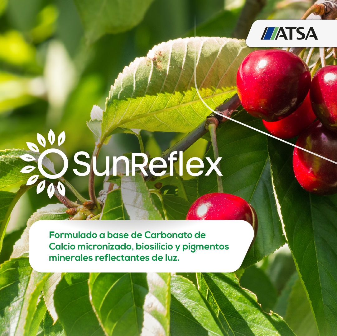 Protección y fortaleza: Descubre SUN REFLEX, el aliado contra el estrés ...