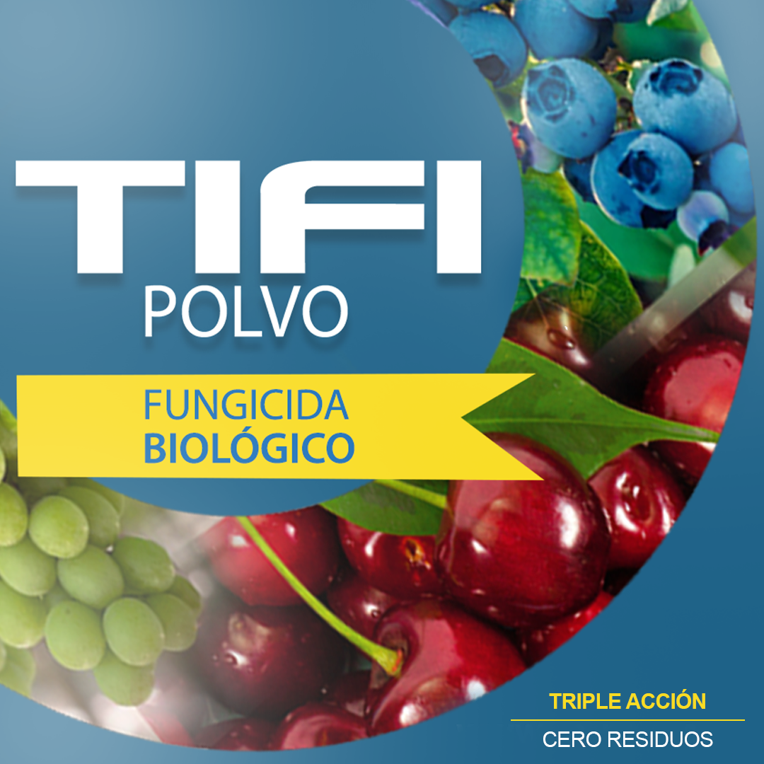 Ensayo botritis Tifi - Smartcherry